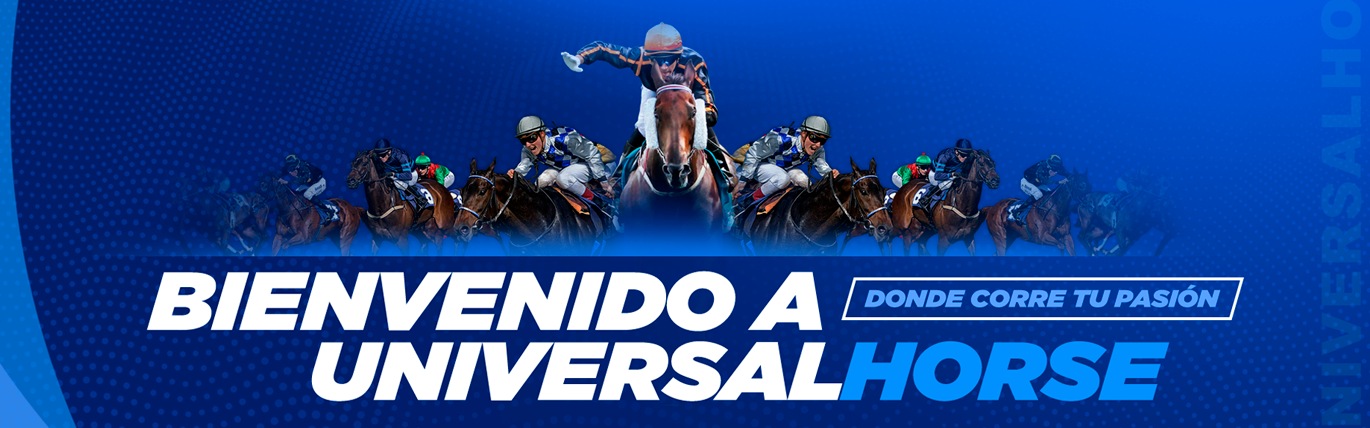 Universal Horse